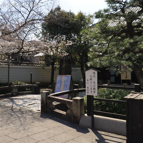 本法寺への行き方と見所まとめ京都上京区異世界ひとり旅