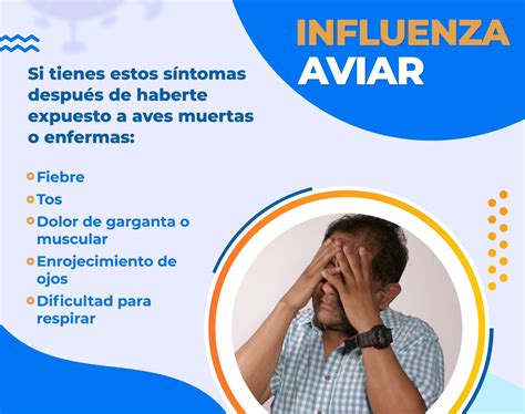 ¿qué Es La Gripe Aviar Conozca Más Sobre Esta Enfermedad Y Qué