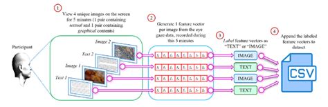 Workflow Diagram Of Generating The Training Dataset From Eye Gaze