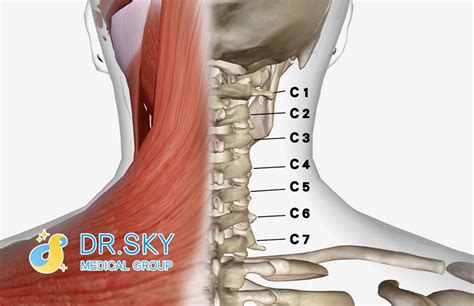 頸源性耳鳴 Cervical Tinnitus Drsky 名冠診所