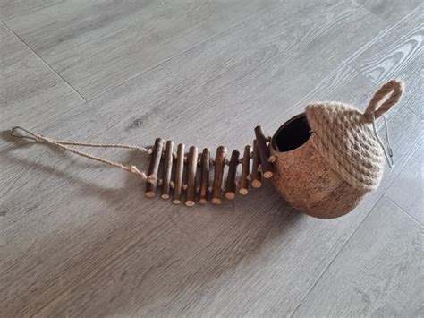 Niteangel Coconut Hideout With Stairs Pet Supplies Homes And Other Pet