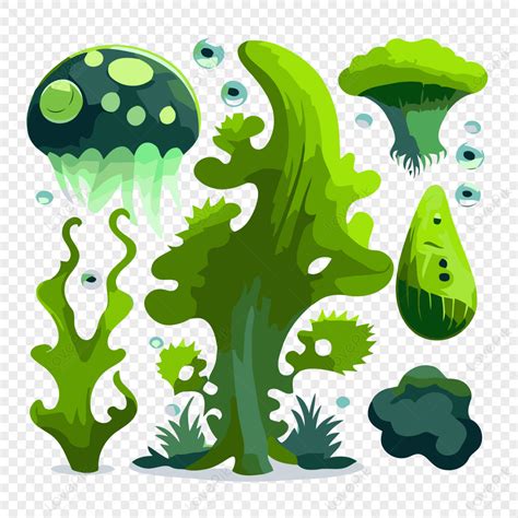 Algae Plant Clipart