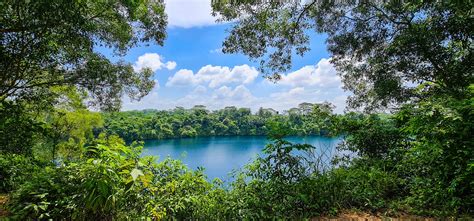 Body Of 22 Year Old Missing Man Found In Pulau Ubin Lake No Foul Play