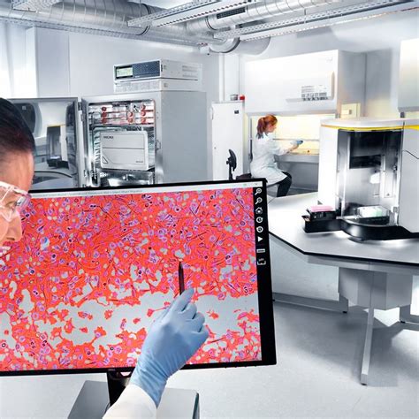 Live Cell Imaging And Analysis Sartorius