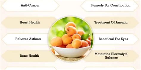 Apricot Kernels Benefits And Harms To The Body Healthy Food Near Me