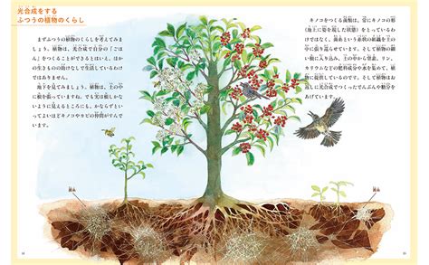 「植物」をやめた植物たち たくさんのふしぎ傑作集 末次 健司 本 通販 Amazon