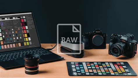 Native Support For RAW Formats In Zoner Studio Learn Photography By Zoner Studio