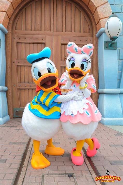 トゥーンタウンでドナルド＆デイジーとグリーティング ディズニーブログ【toondays】