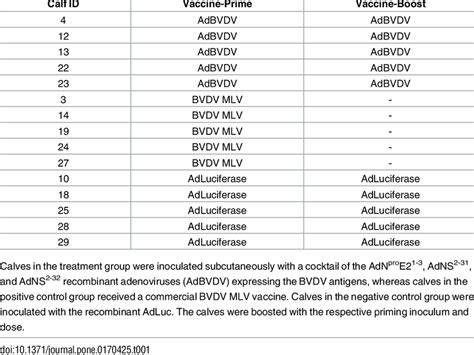 Immunization Protocol Download Table