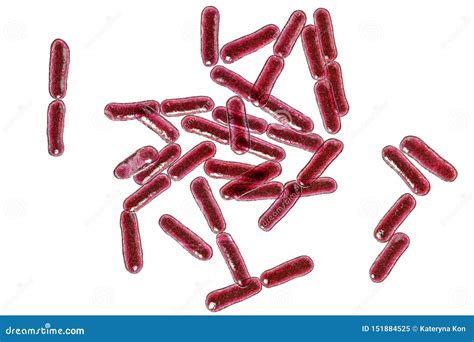 Bacteria Bacillus Anthracis Royalty Free Cartoon