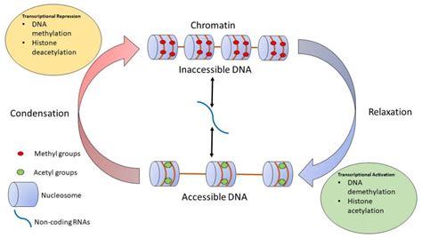 Ijms Free Full Text Chemosensory Ability And Sensitivity In Health