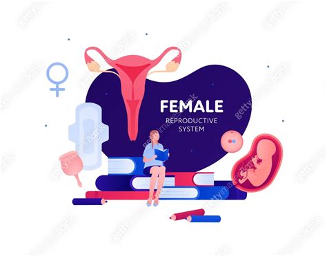 Sex Education Reproductive System Biology Class Concept Vector Flat Illustration Banner
