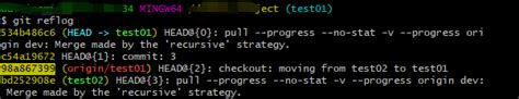 震惊！！idea使用git pull错代码后居然可以这样回退！！ idea 撤回pull csdn博客
