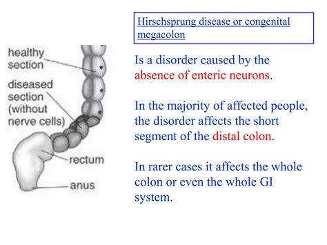 Git Physiology I Ppt