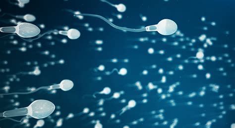 Curso Universitario En Sexaje De Semen