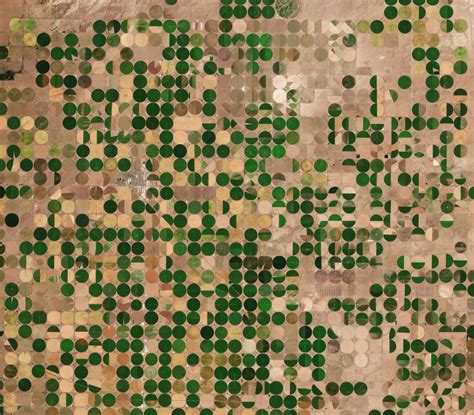 Analyze Planet And Public Data With New Browser Application