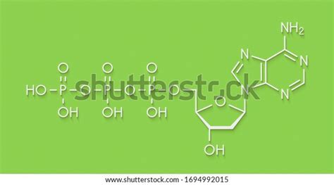 Deoxyadenosine Triphosphate Datp Nucleotide Molecule Dna Stock Illustration 1694992015