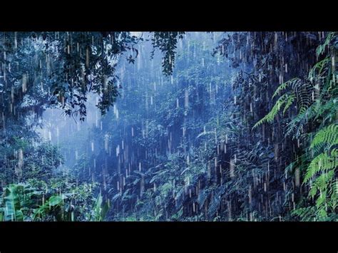 Videos Relaxing White Noise