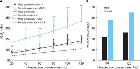 A Computational Model Predicts Sex Specific Responses To Calcium