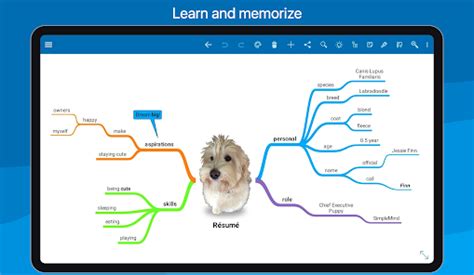 SimpleMind Pro Mind Mapping Apps On Google Play