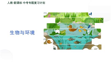 生物 生物与环境课件 共31张PPT 2024年初中中考生物学二轮复习 课件下载预览 二一课件通