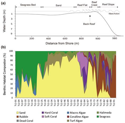 Estimation Of The Benthic Habitat Zonation By Photo Quadrat Image Analysis Along The Fringing