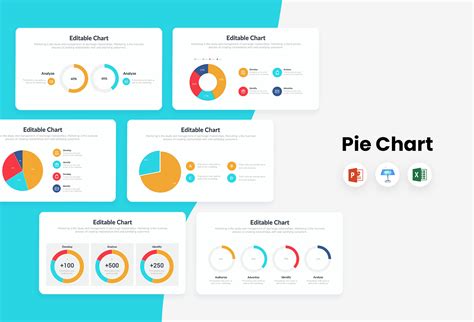 Infographic Pie Chart