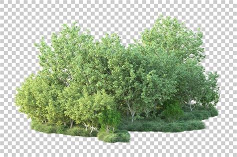 透明な背景の 3 D レンダリング図に分離された緑の風景 プレミアムpsdファイル