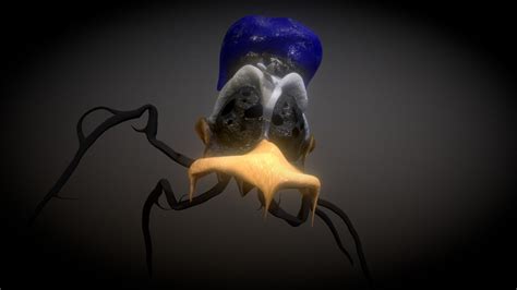 Disembodied Gen 2 Fnati 3d Model By Marxfan2008 [fddce6f] Sketchfab