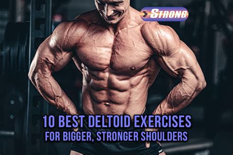 10 Best Deltoid Exercises For Bigger Stronger Shoulders Strong