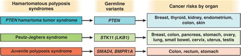 Clinical Spectrum And Science Behind The Hamartomatous Polyposis