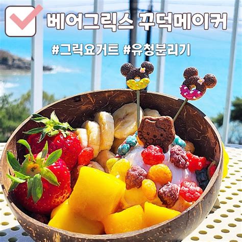 베어그릭스 꾸덕 메이커로 간단한 홈 카페 그릭 요거트 만들기 후기 유청 분리기 추천 서울우유 더 진한 플레인 요플레 네이버 블로그