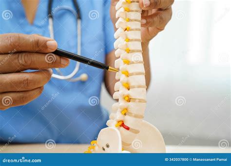 Asian Doctor Holding Spinal Nerve And Bone Model Lumbar Spine