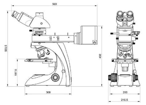 How Does A Polarizing Microscope Work Scopelab
