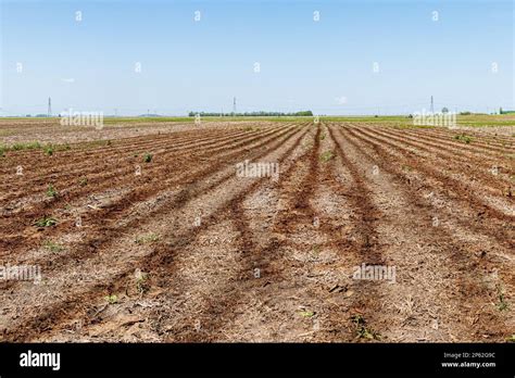 Managing Plant Nutrients Ammonium Nitrate As A Fertilizer 50 Off