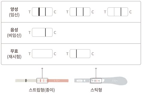 임테기 희미한 두줄 의미 임테기 사용법 Berryhappy