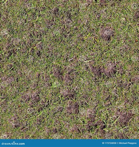 Photo Realistic Seamless Grass Texture In High Resolution With More