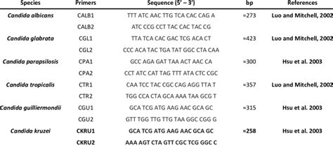 Species Specific Primers For The Identification Of Pathogenic Yeasts Of Download Scientific