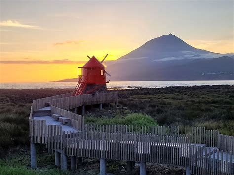 The Island Pico Island Pico Holiday ExpertsPico Holiday Experts