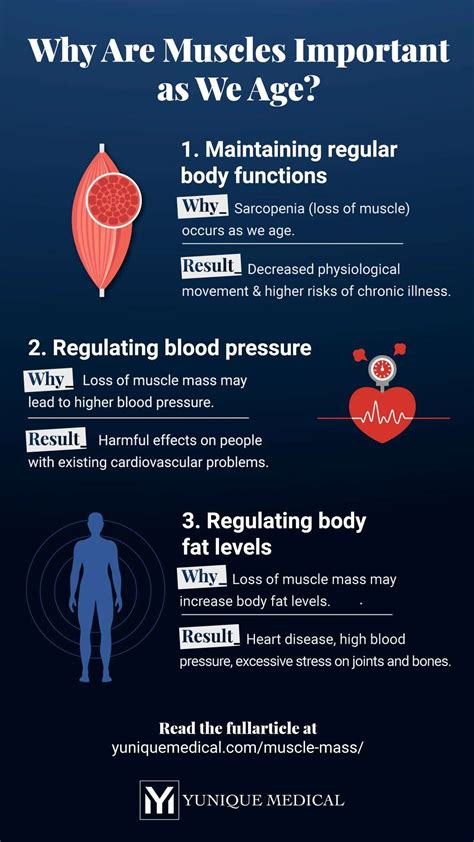 The Important Role Of Muscle Mass In Our Health As We Age Yunique Medical