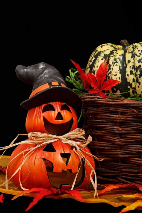 Halloween Decoration On Black Free Stock Photo Public Domain Pictures