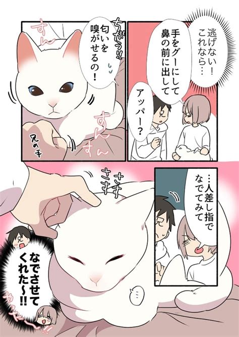 ＜画像13 22＞【ねこ漫画】「初対面で膝乗りだと」誰でもウェルカムな猫が「シャー」威嚇した相手は？【作者に聞く】｜ウォーカープラス