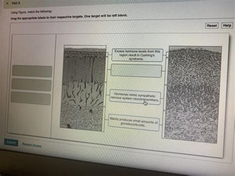 Solved Part A Using Figure Match The Following Drag The Chegg