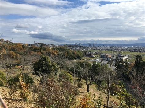 初冬 そよかぜ霊園 成和 公式サイト 大阪府高槻市・羽曳野市・奈良県の霊園・墓地・お墓