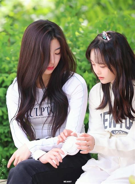 학교가 땅을 팔았나 연예인잡담 에펨코리아