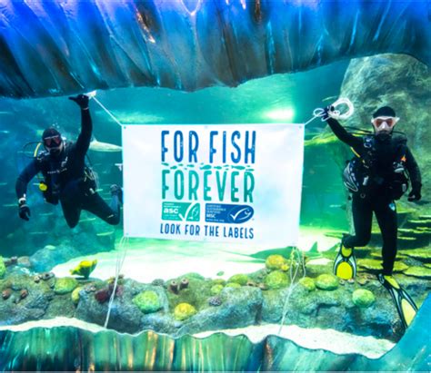 Sustainable Seafood Week 2024 Asc Australia