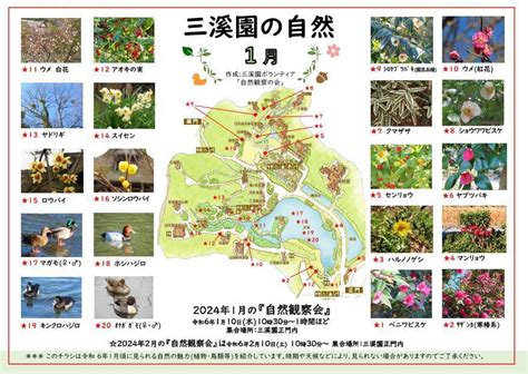 三溪園 自然観察会 2024年1月10日 三溪園探訪