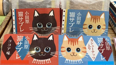 猫サブレ正栄堂菓子舗 神奈川・小田原 猫スポットcom
