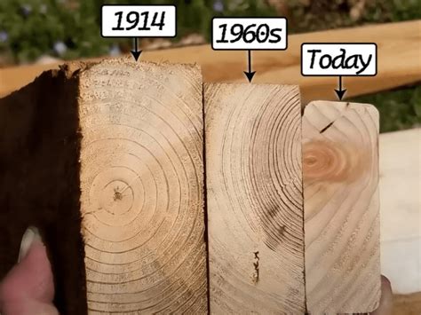 2x4 Lumber Sizes The History Behind The Mystery The Working Forest