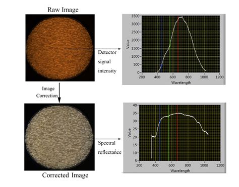 Figure The Correction Of Hyperspectral Images Detection Of Waxed Rice Using Visible Near